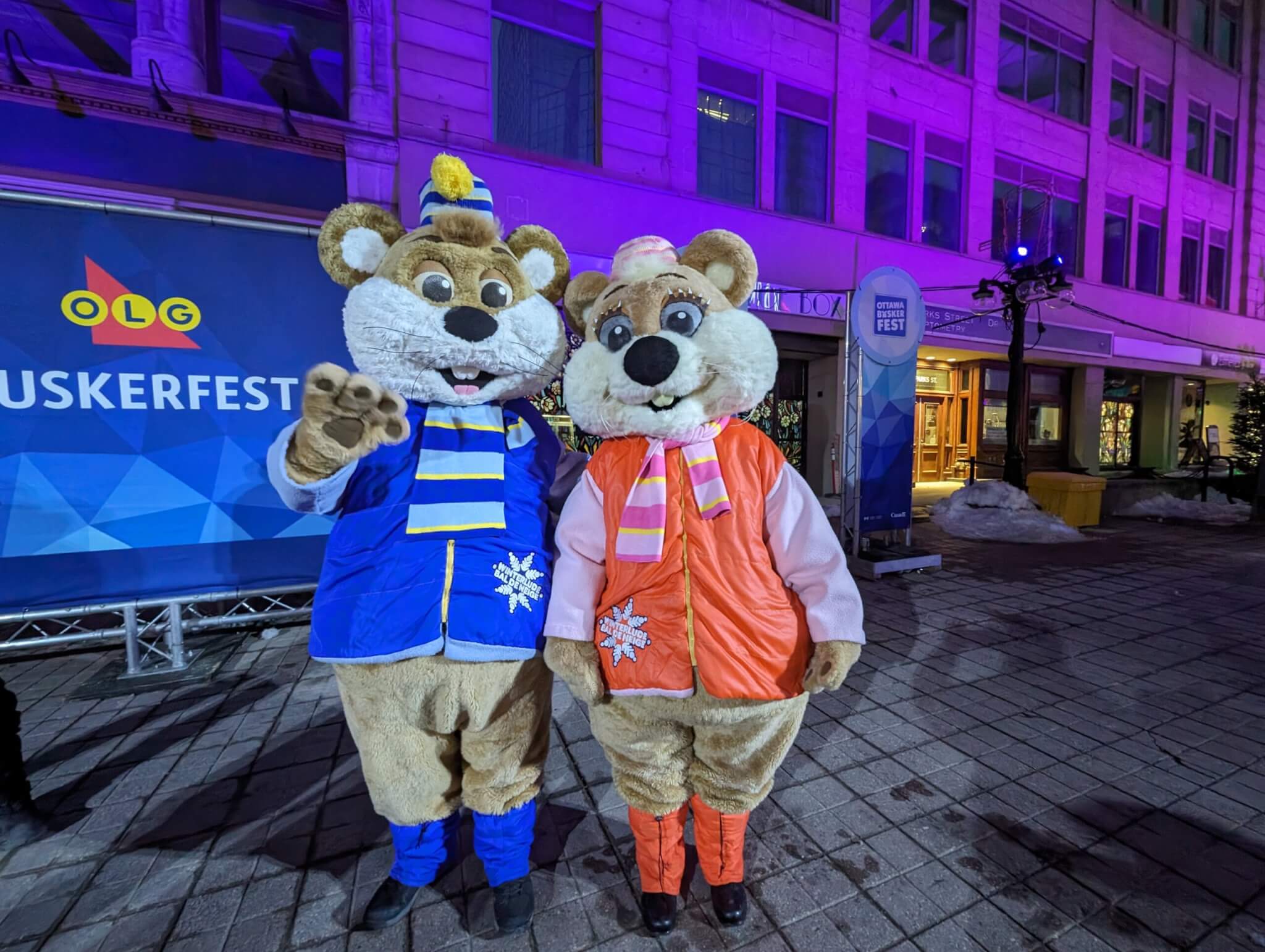 Le Bal de neige à l'ère des changements climatiques - ONFR