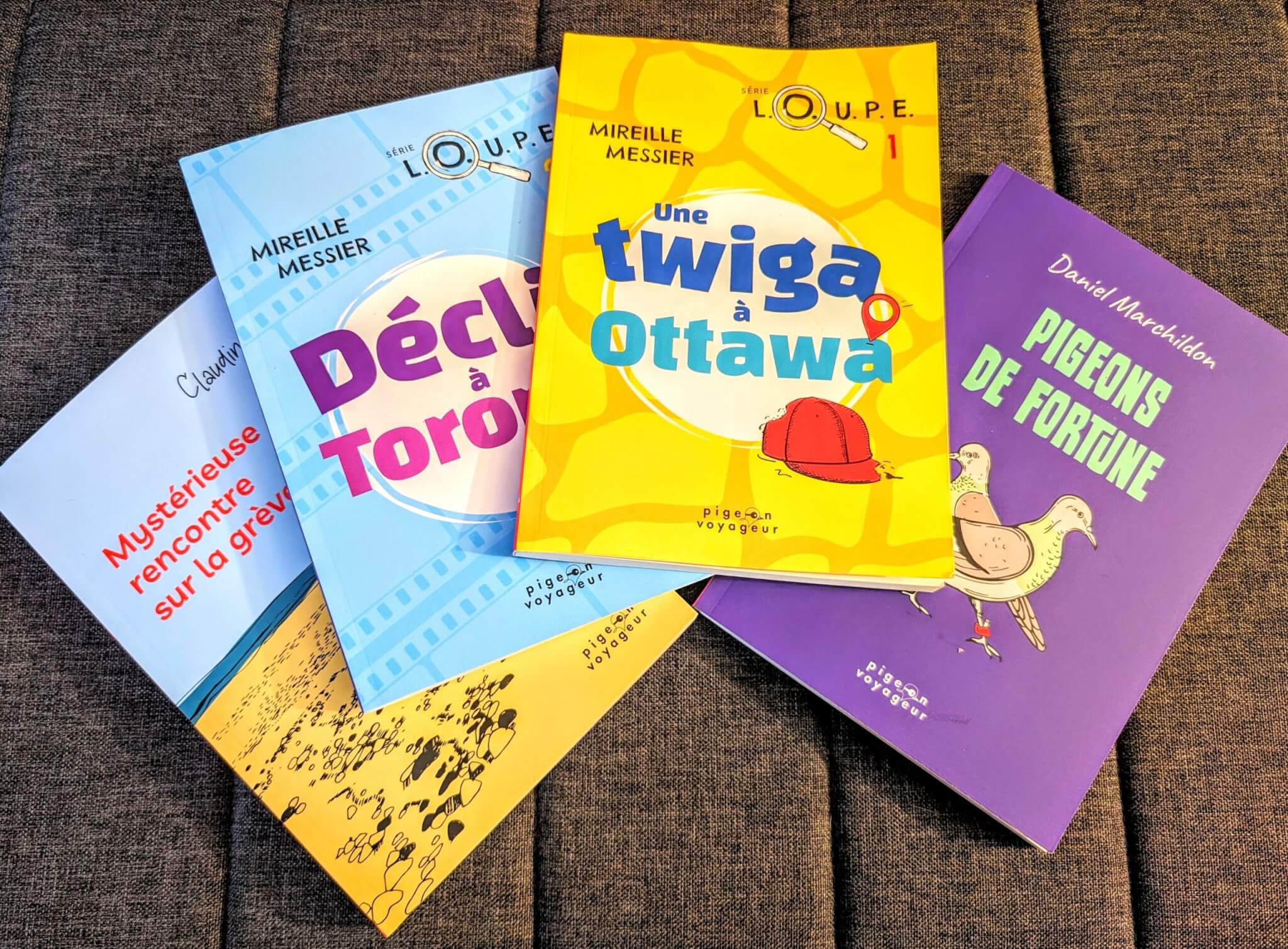 Voici où souligner le Jour des Franco-Ontariens 2024 - ONFR