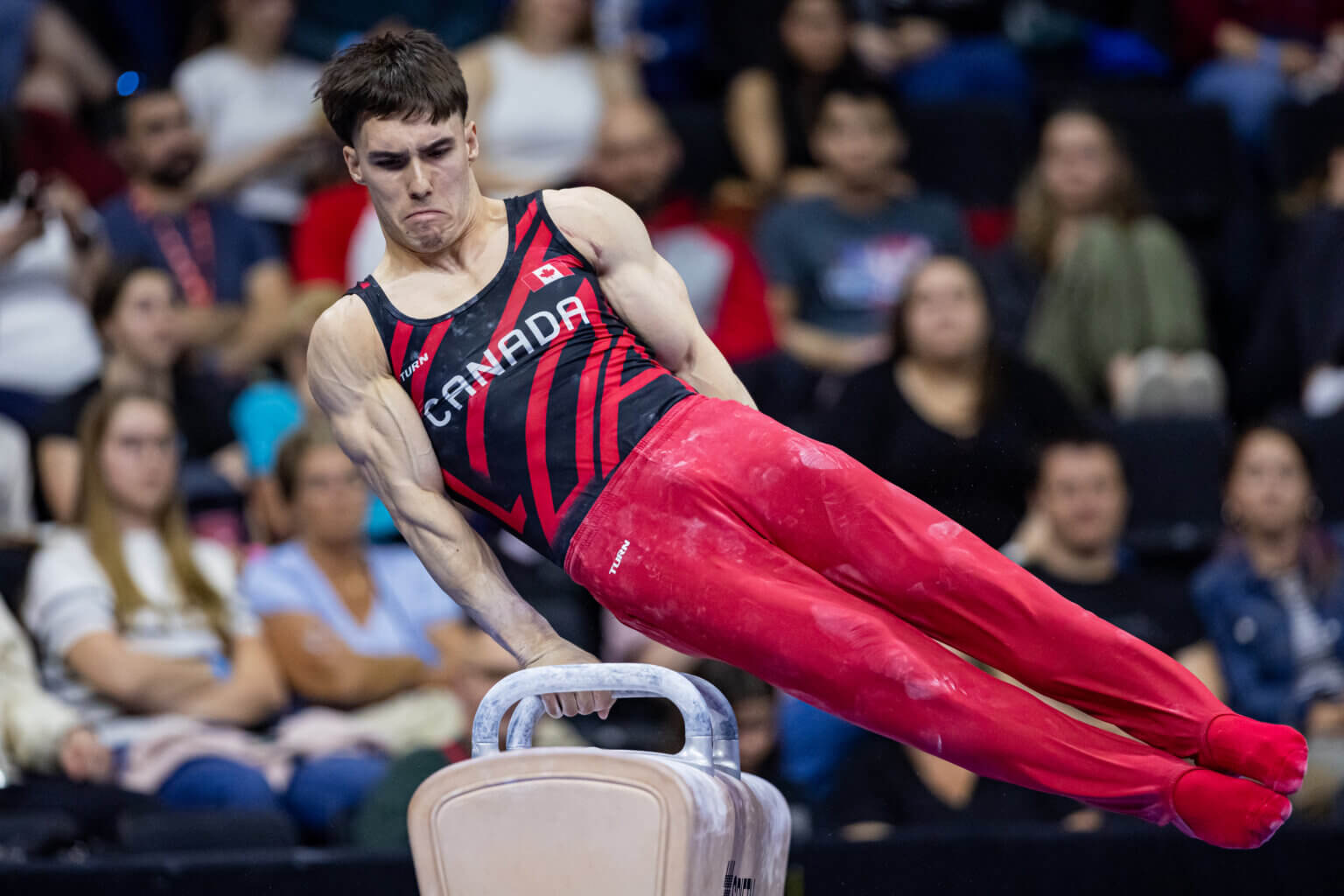 Samuel Zakutney, la mémoire vive d’un été historique pour la ...